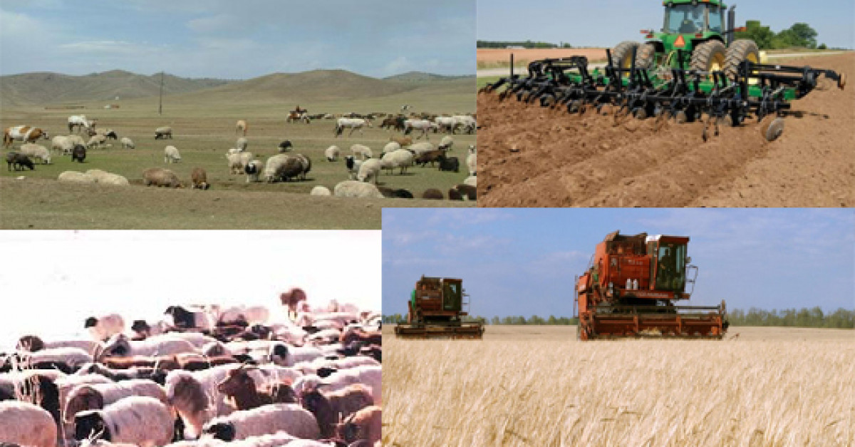 Монголын брэндийг Японы зах зээлд нийлүүлнэ · Dorgio.mn