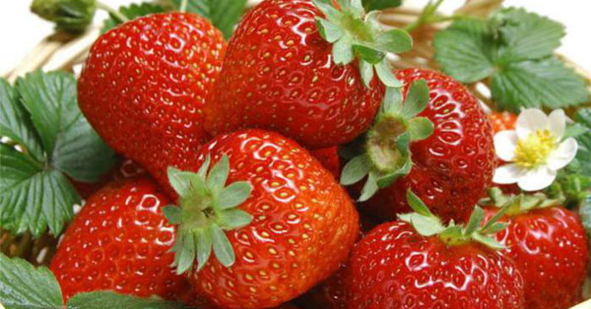 Гүзээлзгэний гайхалтай 10 ач тус · Dorgio.mn