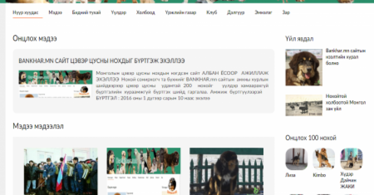 Та цэвэр цусны нохойтой бол BANKHAR.mn сайтад бүртгүүлээрэй · Dorgio.mn