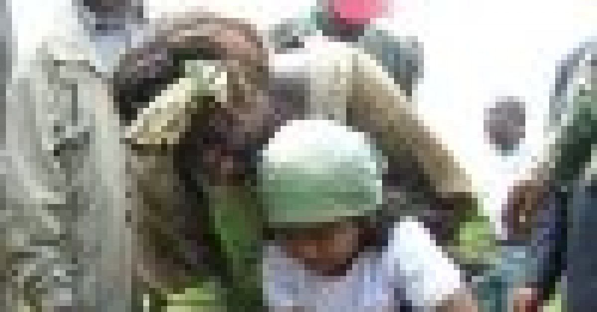 Африкийг "Ногоон бүс"-жүүлсэн эмэгтэй · Dorgio.mn