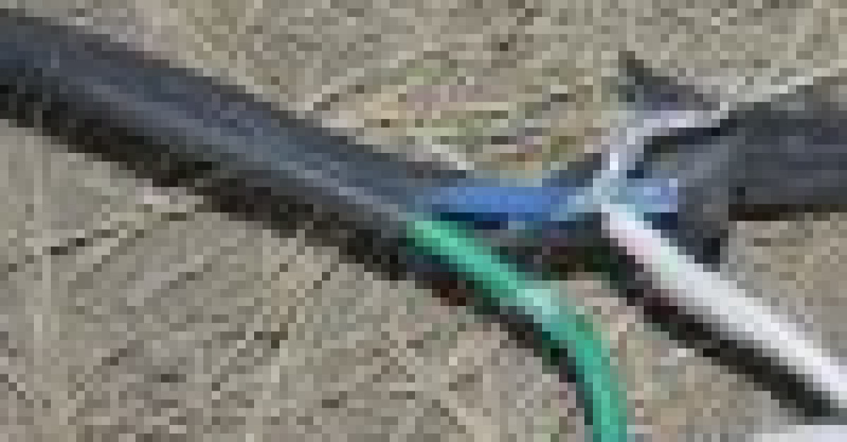 Сонгуулиар л цахилгаантай болно · Dorgio.mn