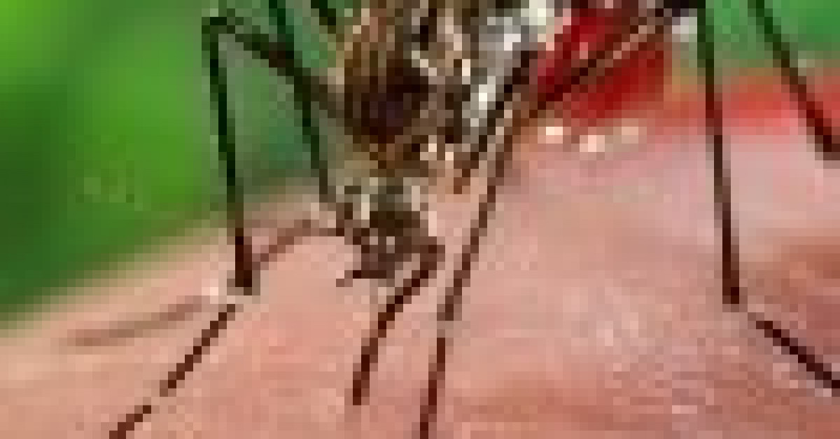 Конго улсад ажиллаж байсан 31 настай эр хумхаа өвчнөөр өвчилжээ · Dorgio.mn