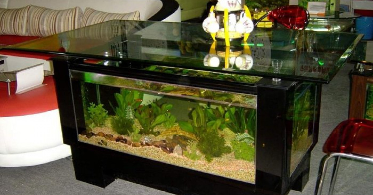 Ширээ яагаад ийм байж болохгүй гэж... · Dorgio.mn