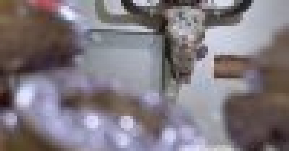 “Монгол уран дархан” үзэсгэлэнгээс /ФОТО/ · Dorgio.mn