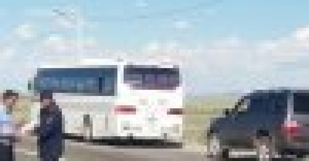 58 чиглэлд 103 тээврийн хэрэгслээр үйлчилж байна · Dorgio.mn