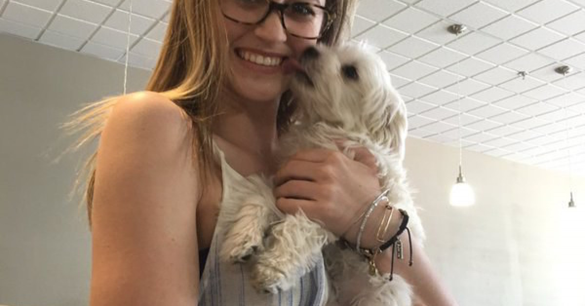 Модель охиныхоо поозыг дуурайсан аав · Dorgio.mn