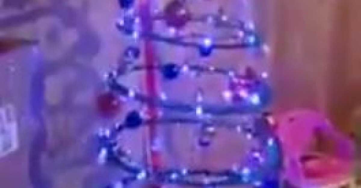 Монгол залуугийн охиндоо барьж өгсөн "Ёолк" · Dorgio.mn