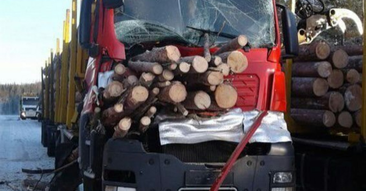 Азтай жолооч · Dorgio.mn