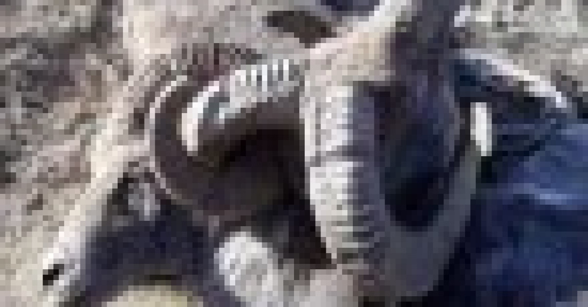 Эврээрээ орооцолдсон аргалуудыг аварчээ · Dorgio.mn