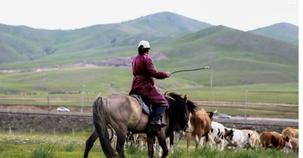 СУДАЛГАА Туслах малчдын хүүхдүүдийн 27 4 нь ямар нэгэн байдлаар