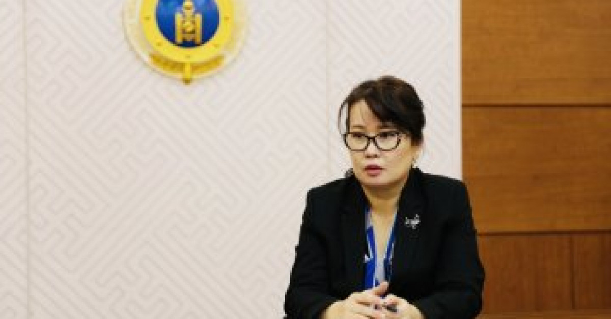 Монгол улс хүний эрхийг зөрчиж иргэдээ дур зоргоороо баривчилж байгаа мэтээр ойлгож болохгүй