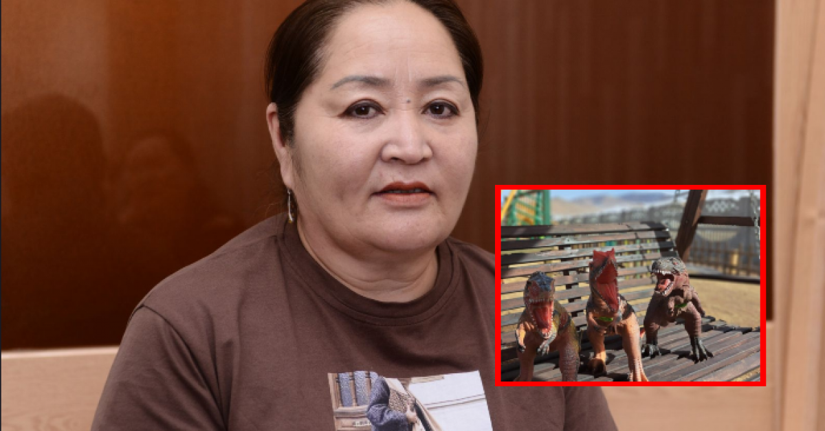 ЖАНГҮМ ОДНОО: ЯАГААД ИЙМ ӨӨДГҮЙ ЮМ БЭ · Dorgio.mn