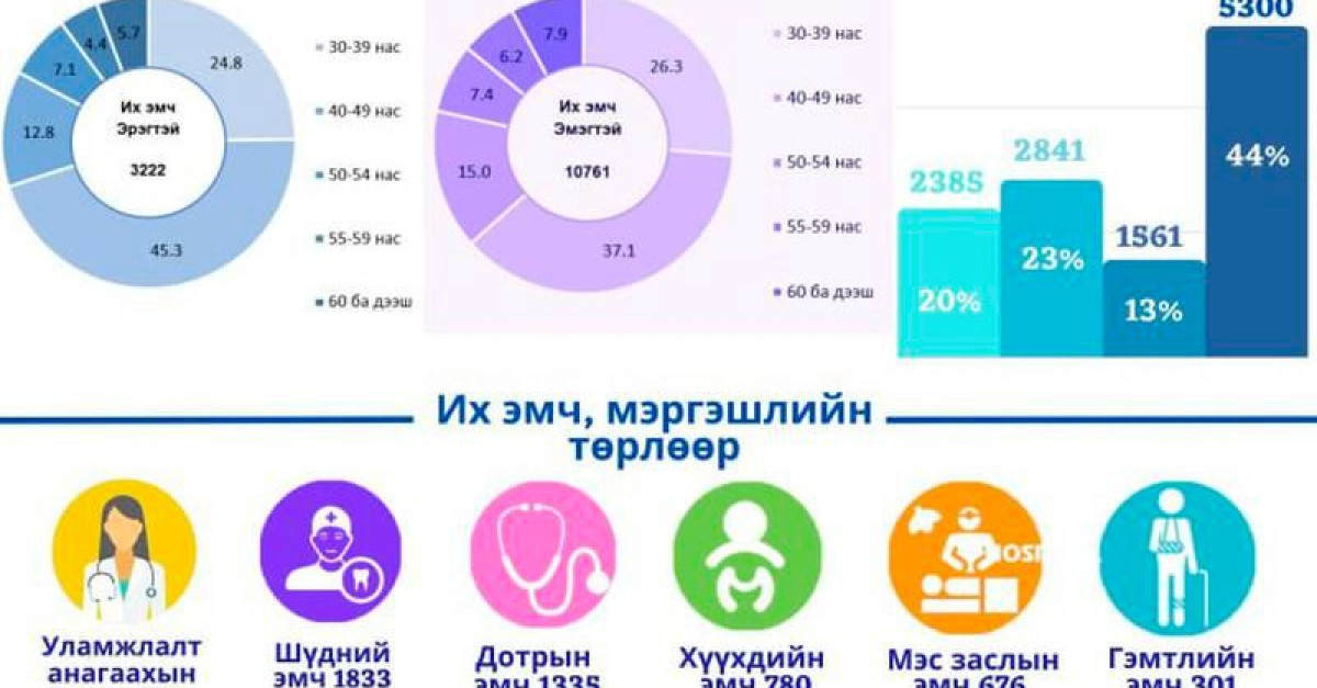 СТАТИСТИК Манай улсын эрүүл мэндийн байгууллагад 13 983 их эмч ажиллаж