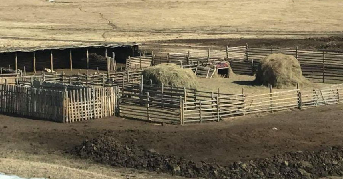Гэрийнхээ гадаа тоглож байгаад алга болсон хүүг малынхаа хашаанд унтаж байхад нь олжээ · Dorgio Mn