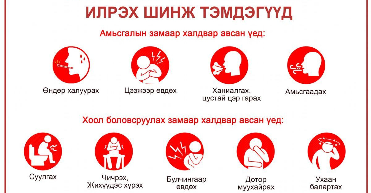 Говь Алтай аймагт тарваган тахлын батлагдсан тохиолдол бүртгэгдлээ