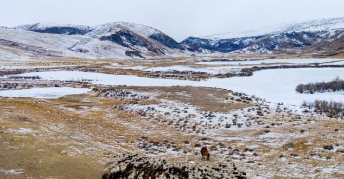 Өвөл, хаврын бэлчээрийн даац нутгийн 50 гаруй хувьд хэтэрсэн байна · Dorgio.mn
