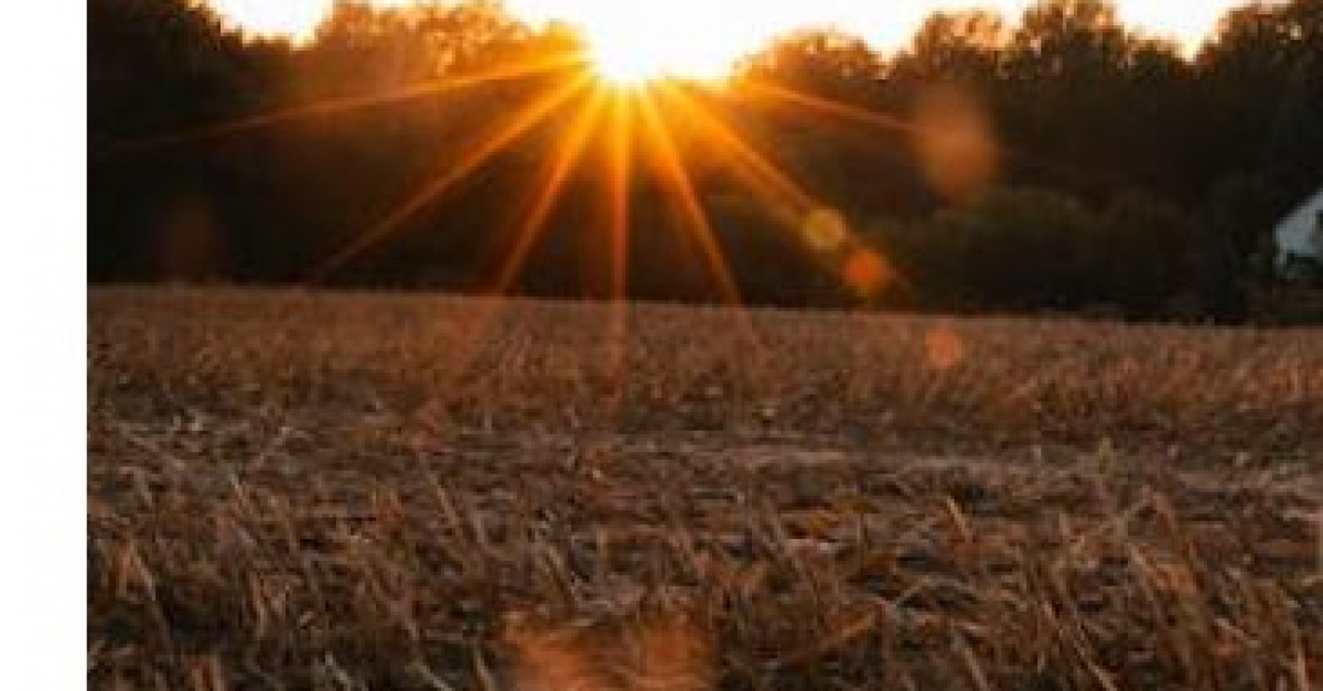 Улаанбаатарт 33 хэм хүртэл хална · Dorgio.mn