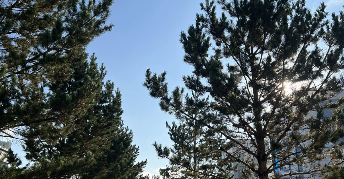 Улаанбаатарт өдөртөө 18 хэмийн дулаан байна · Dorgio.mn