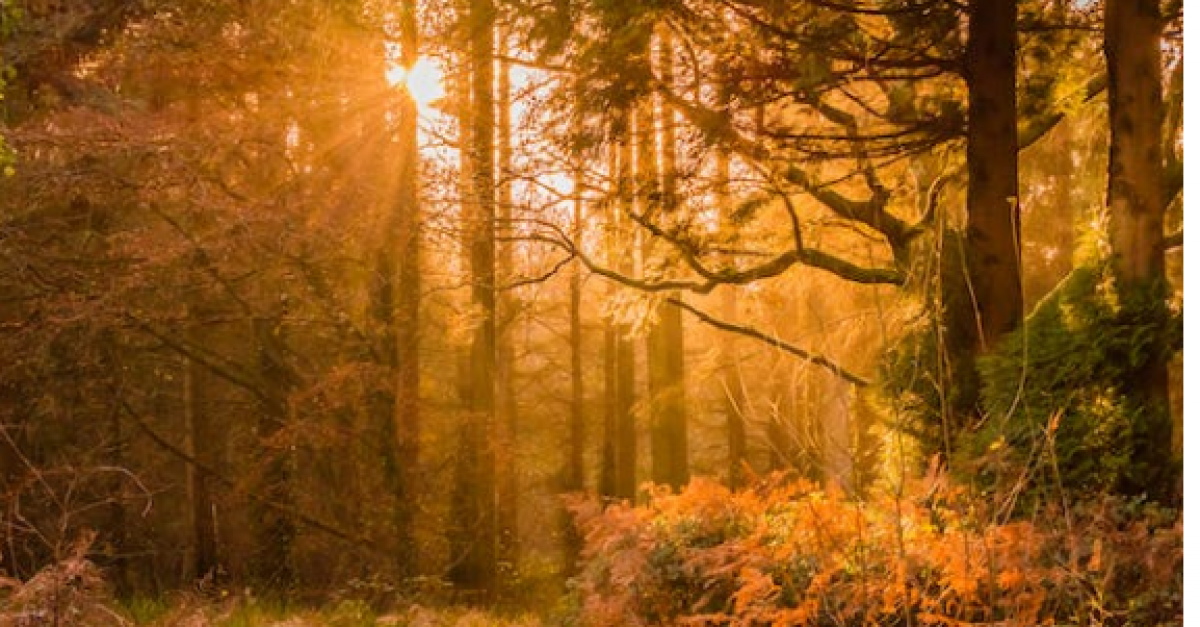 Улаанбаатарт 14 хэм дулаан байна · Dorgio.mn