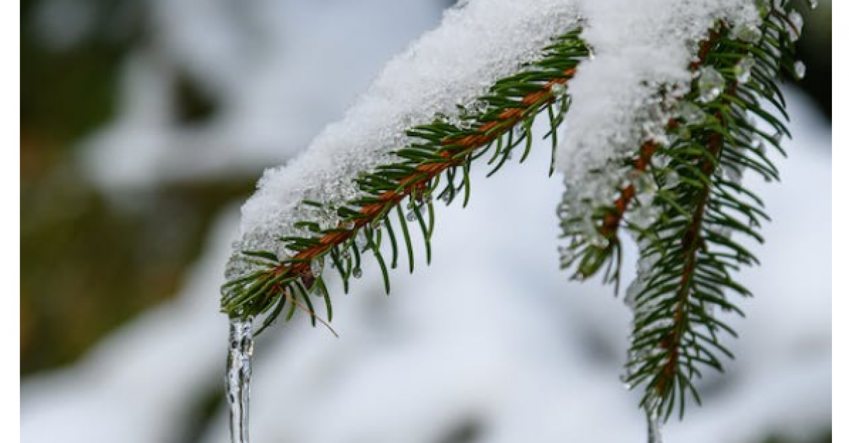 Өдөртөө 12-14 хэм хүйтэн байна · Dorgio.mn