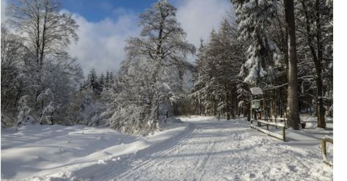 Ихэнх нутгаар цас орж, цасан шуурга шуурна · Dorgio.mn