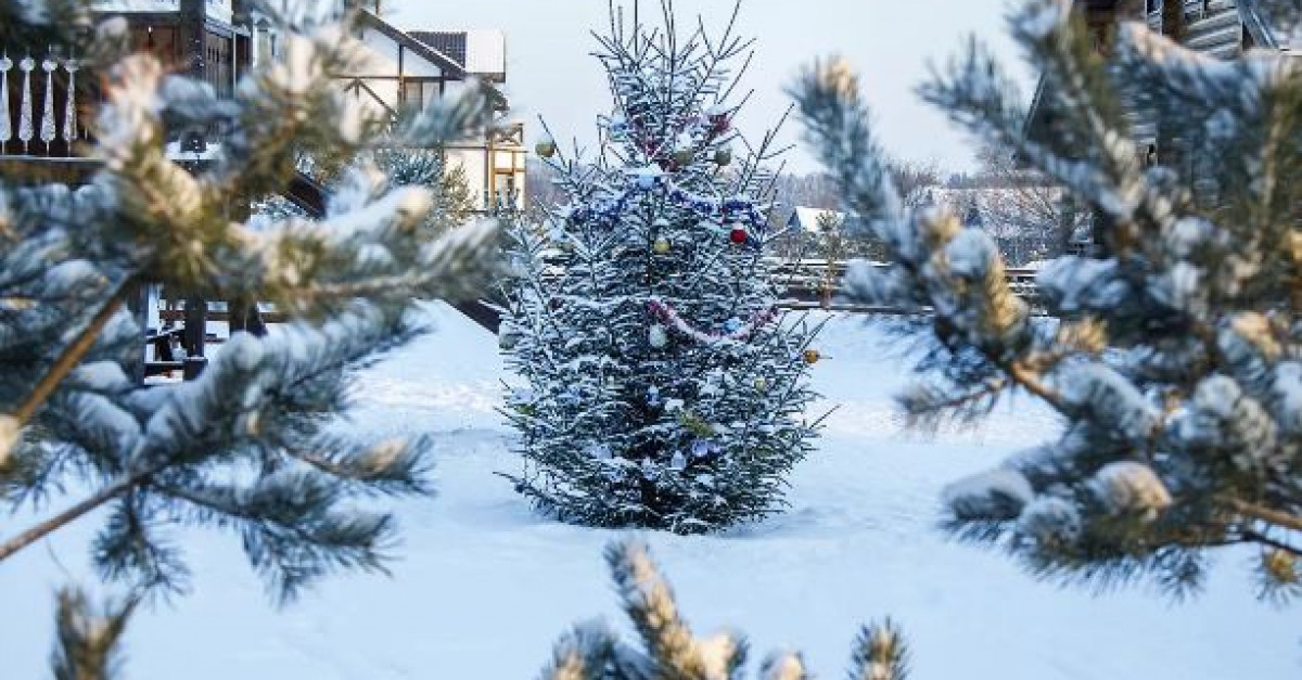 Дохио!!! Цаг агаарын аюултай үзэгдлээс сэрэмжлүүлэх мэдээ · Dorgio.mn