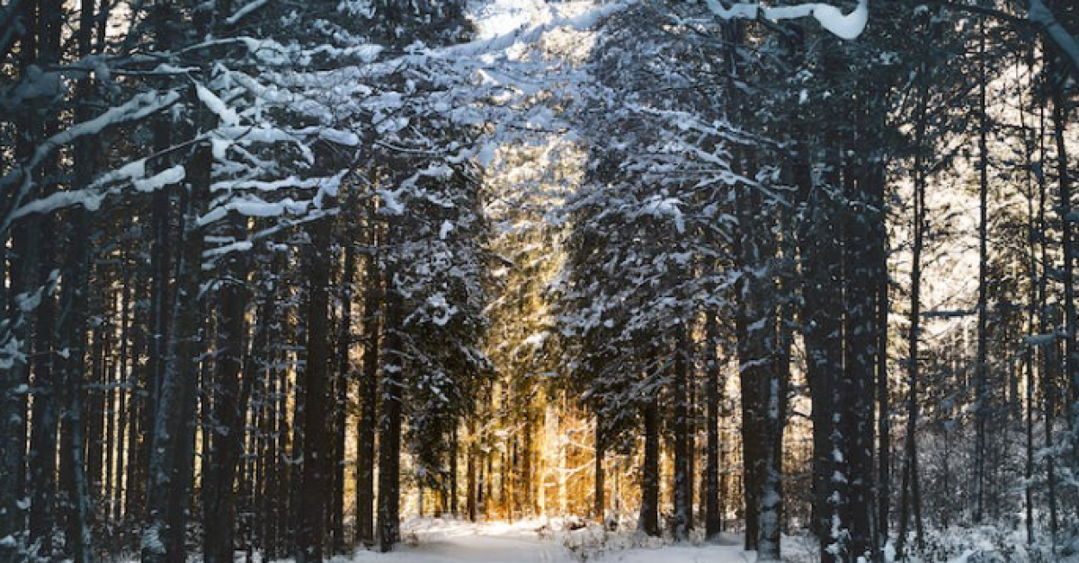 Улаанбаатарт 17 хэм хүйтэн байна · Dorgio.mn