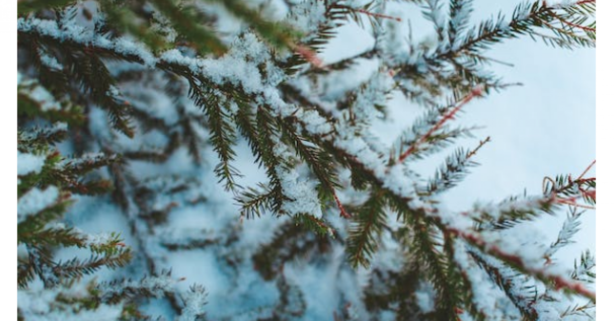 Улаанбаатарт цас орохгүй · Dorgio.mn