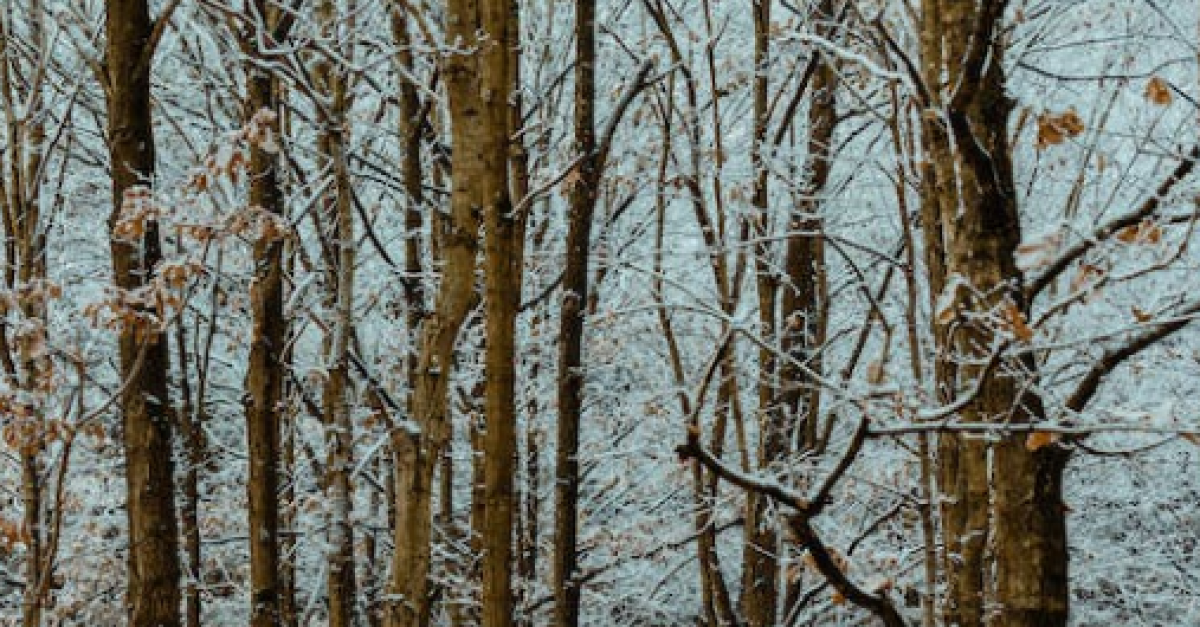 Улаанбаатарт 13 градус хүйтэн байна · Dorgio.mn