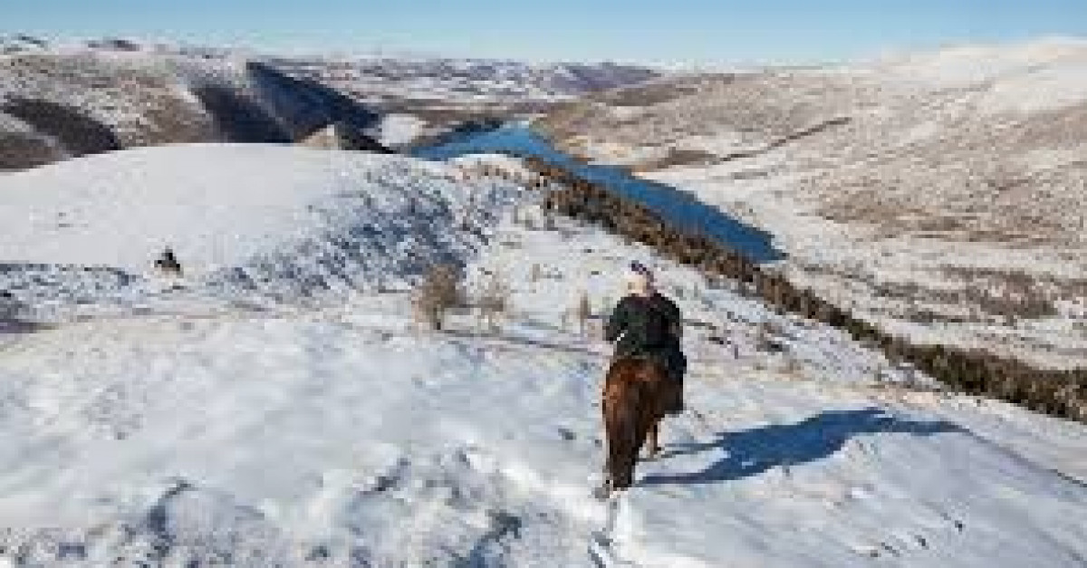 Баян-Өлгий аймагт сураггүй болсон малчныг эсэн мэнд олжээ · Dorgio.mn