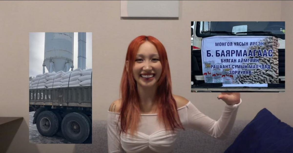 Иргэн Б.Баярмаад хариуцлага тооцно · Dorgio.mn