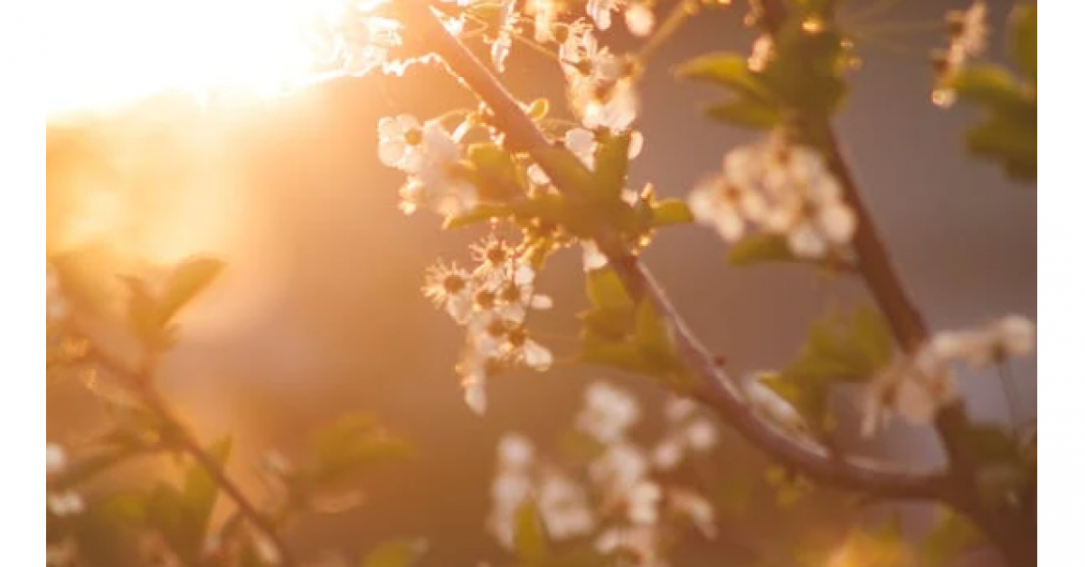 Танилц: Дөрөвдүгээр сарын цаг агаарын урьдчилсан мэдээ · Dorgio.mn