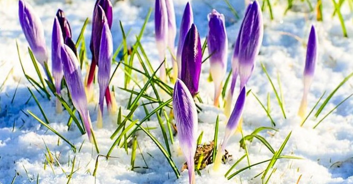 Өнөөдөр ханш нээх өдөр · Dorgio Mn