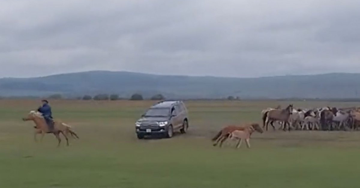“Гацуурт”-ын Л.Чинбатад холбогдох хэргийг хэрэгсэхгүй болгожээ · Dorgio.mn