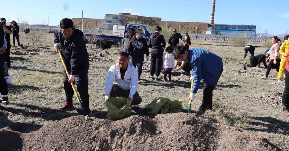 “YES Mongol” төрийн бус байгууллагын гишүүд мод тарилаа · Dorgio.mn