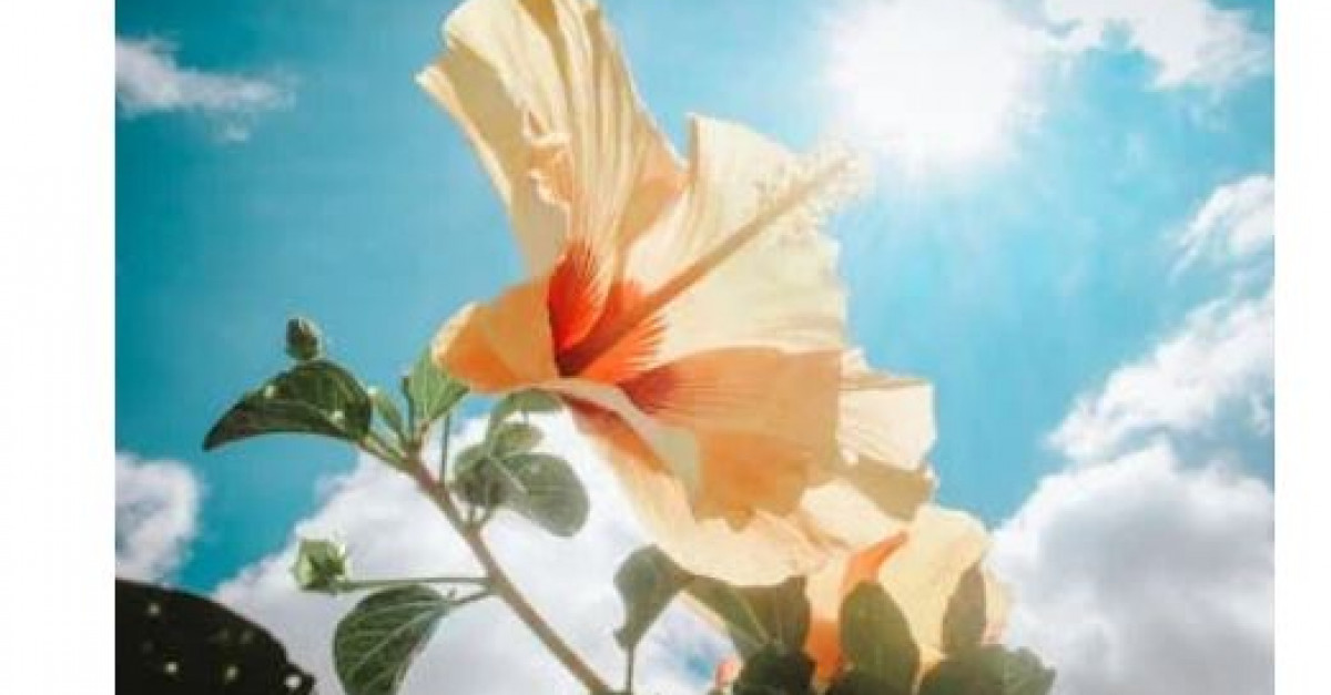 Өнөөдөр 29 градус хүрч хална · Dorgio.mn