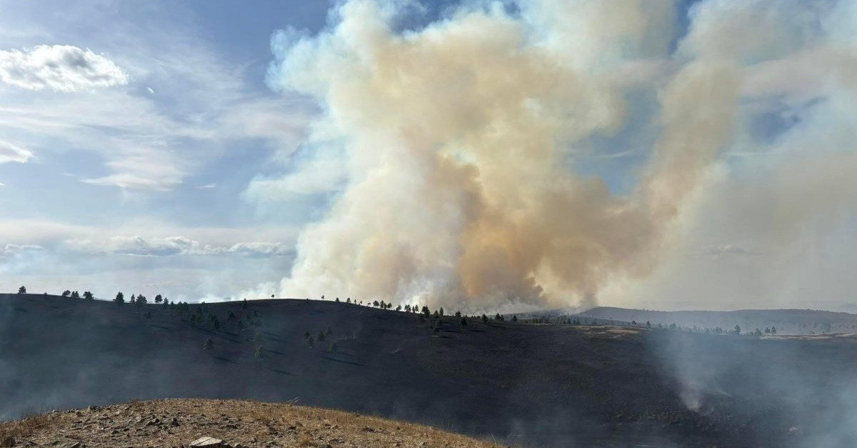 Дорнод аймгийн 3 сумын 29.240 га талбай хээрийн түймэрт өртөв · Dorgio.mn