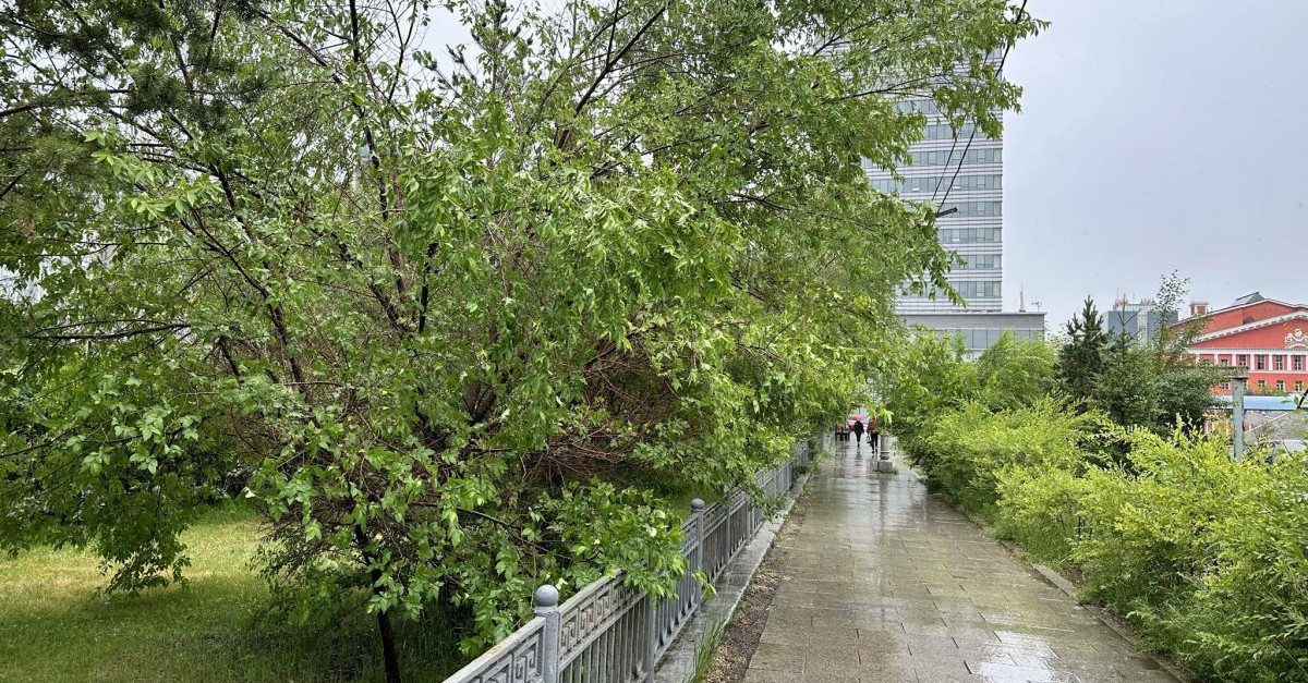 Нийслэлд бороотой · Dorgio.mn