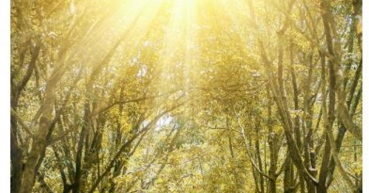 Нийслэлд +20 градус дулаан байна · Dorgio.mn