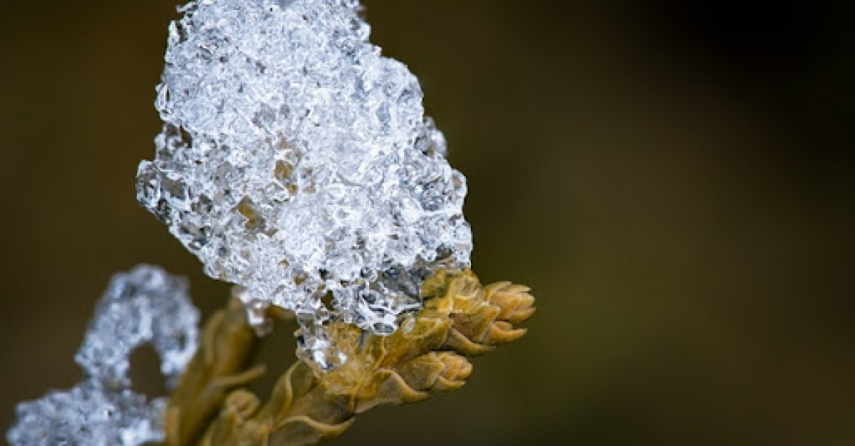 Есдүгээр сард тариалан бүхий нутгуудаар цочир хүйтэрнэ · Dorgio.mn