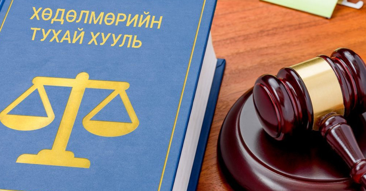 Хөдөлмөрийн хуулийн “14:14” хөдөлмөрлөх эрхэнд халдаж байна · Dorgio.mn