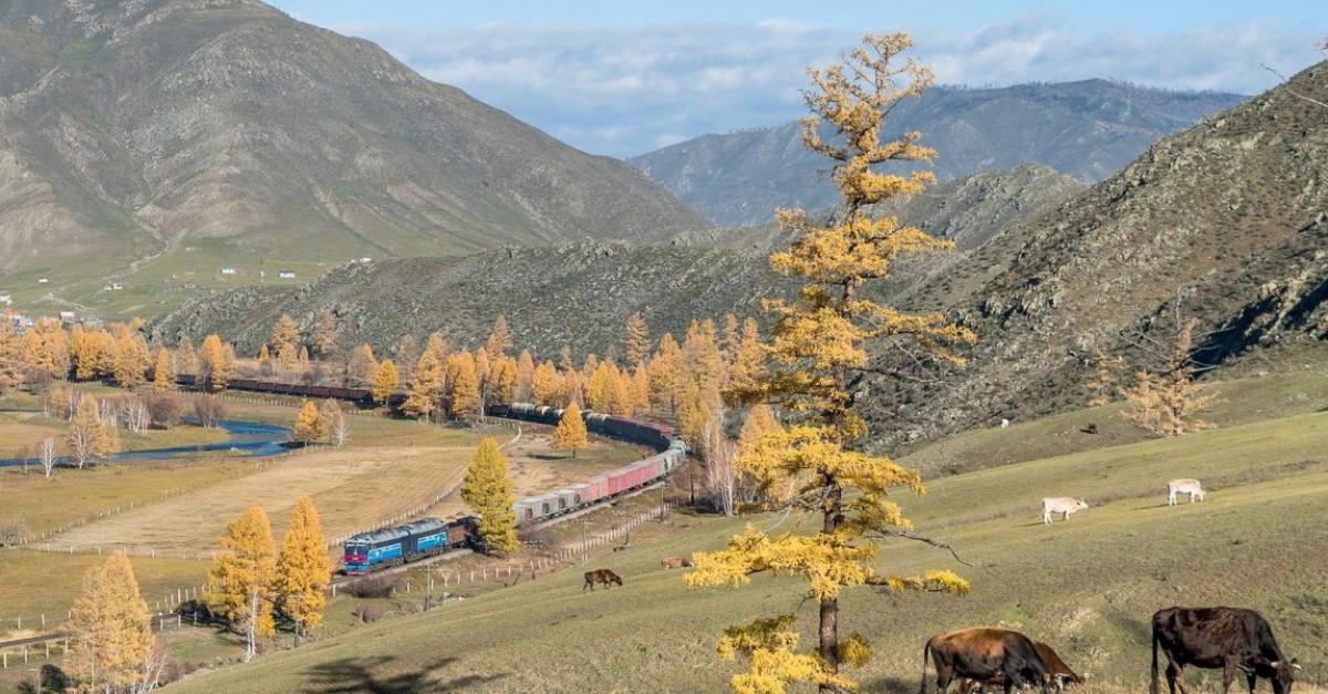 “УБТЗ” ХНН: Ургац тээвэрлэлтийг шуурхай зохион байгуулж байна · Dorgio.mn