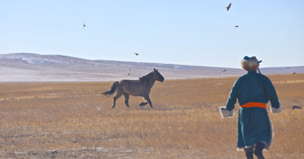 "Та хэдэн насандаа өөрийгөө хөгширсөнд тооцох вэ?” асуултад хөдөө амьдардаг эрчүүдийн дийлэнх ...