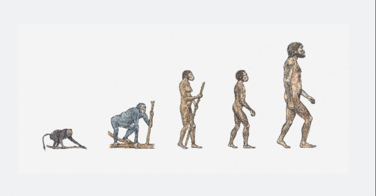 “Үхэл үгүй мөнхөөрөө, үргэлж 25 настайгаа байх” мөрөөдөл биелэх боломжтой · Dorgio.mn