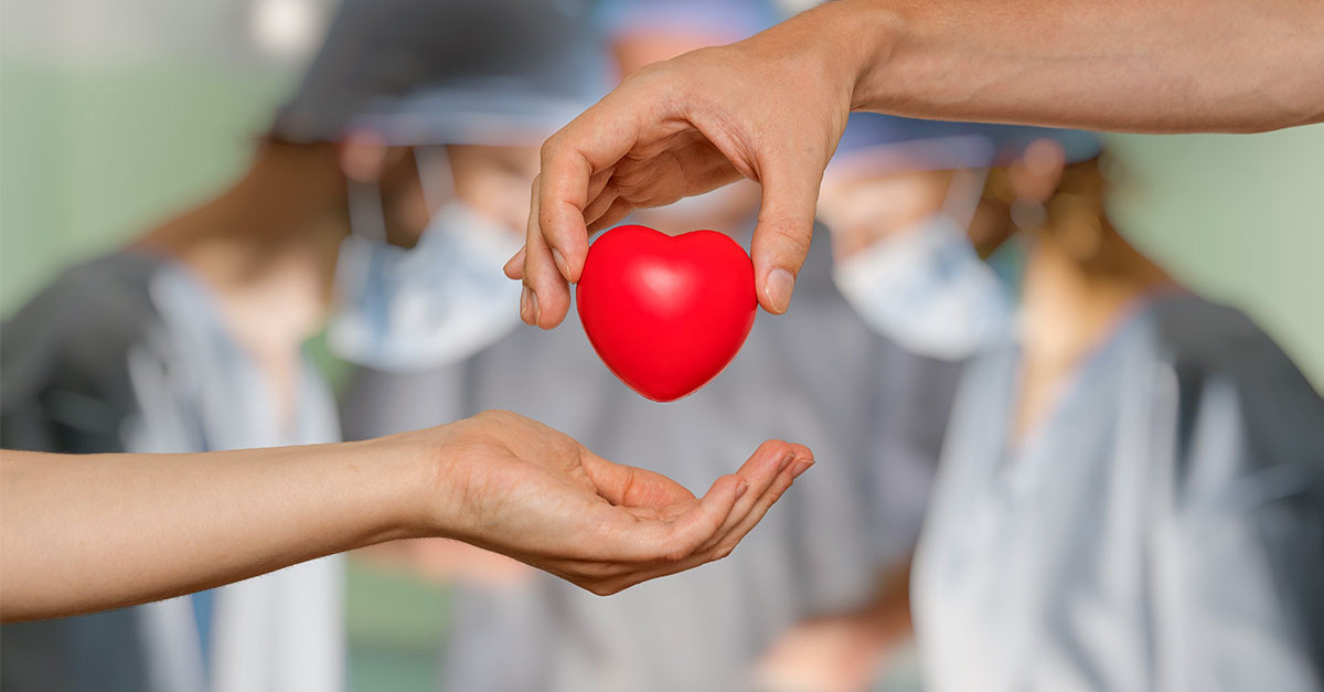 4447 хүн донор болох хүсэлтээ өгчээ · Dorgio.mn