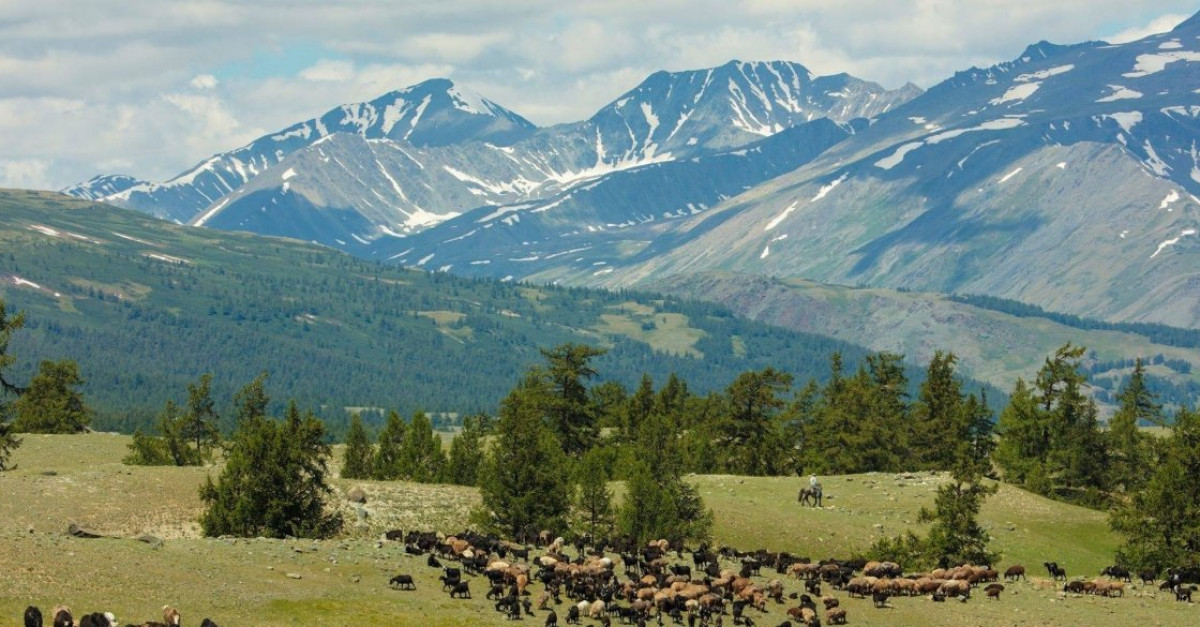 Нутаг, мал, ус гурвыг дээдэлсэн өвгөдийн маань ухаан · Dorgio.mn