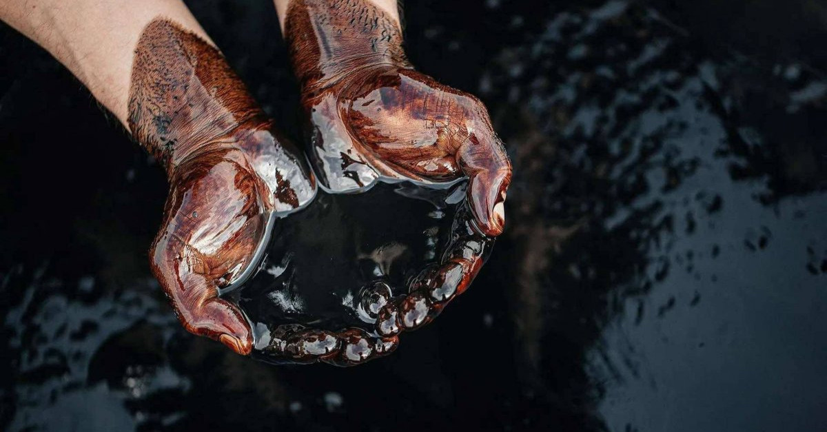 Газрын тосоо хайя” гэж ганц ч гишүүн ярихгүй байна · Dorgio.mn