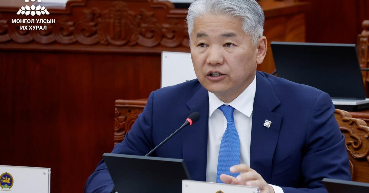 Ж.Энхбаяр: УИХ-ын даргын санаачилгаар унасан гурил, улаанбуудайн импортын татвартай холбоотой ...