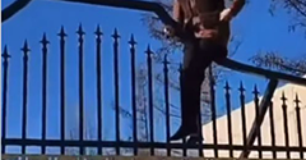 Төрийн ордны хашаа руу авирч танхайрсан иргэнийг 100 мянган төгрөгөөр торгожээ · Dorgio.mn