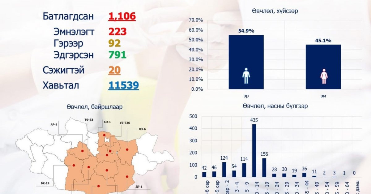 ХӨСҮТ: 1106 хүн улаанбурханы халдвар авсан нь батлагдлаа · Dorgio.mn